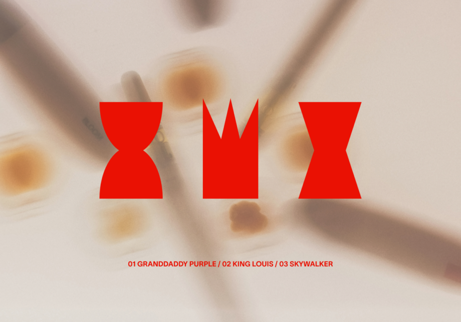 Behind-the-Scenes: Bloom's Classic Strain Icons